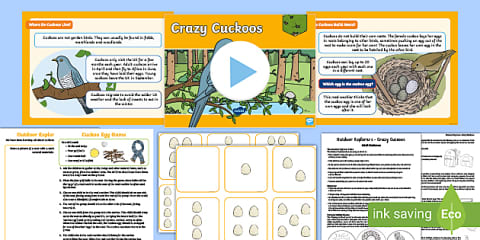 KS1 Cuckoo Interval Singing Game