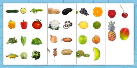 Fruit or Vegetable Matching Activity