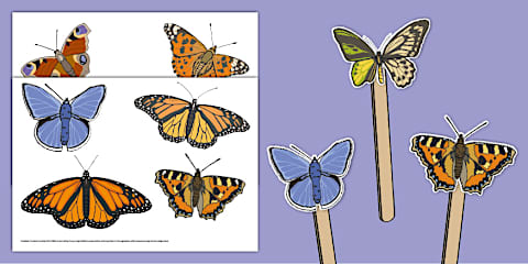 Butterfly Nursery Rhyme Lyrics | EYLF Resources | Twinkl