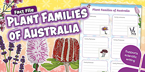 Confused Plant Parts Crossword