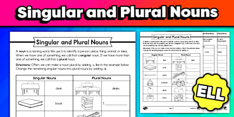 Countable and Uncountable Nouns Sorting Cards for ELL
