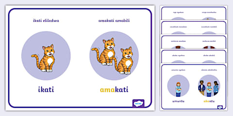 Umzimba wami amakhadi - Body Part Cards (isiZulu)