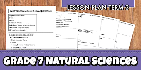 Grade 7 English FAL - Lesson Plan - Term 3 (CAPS Aligned)