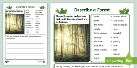 KS2 Descriptive Setting Word Mat: Forests and Woodland