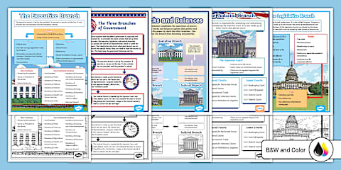 Sixth Grade The Three Branches of Government Worksheet