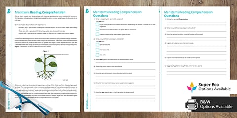 Stem Cells Reading Comprehension