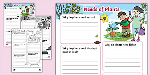 KS1 Needs of Plants Leaflet Template
