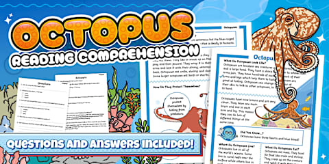 All About An Octopus Pack