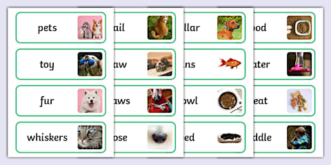 Pets Word Cards