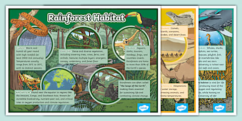 Habitats Photo Display Poster