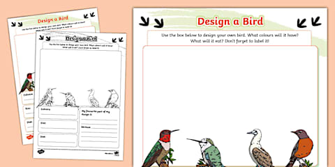 Comparing Birds Worksheet