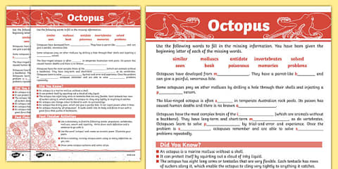 Octopus Information PowerPoint