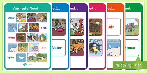 Sort Animals By Their Needs Worksheet