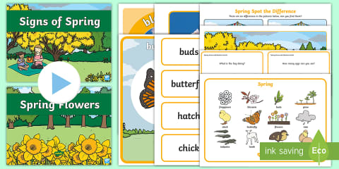 Spring Words Display Posters