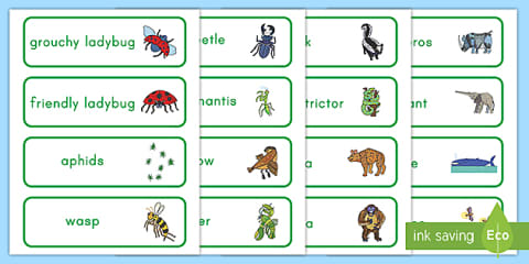 The Grouchy Ladybug Activity Pack