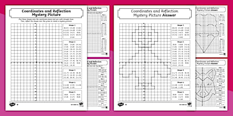 Eighth Grade Graphing Transformations Mystery Picture Lion Worksheet