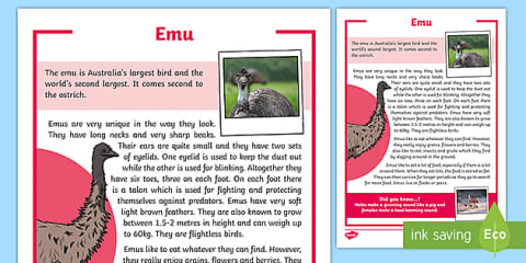 Emu Colouring Page