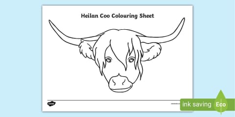 How to Draw a Highland Cow Worksheet
