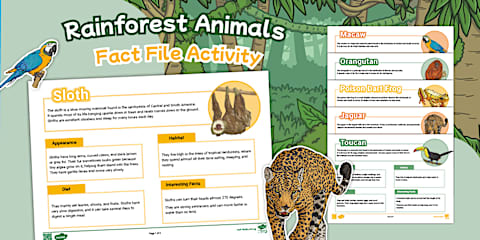 Singapore Local Animals Activity Sheet