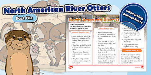 River Habitats Leaflet Template