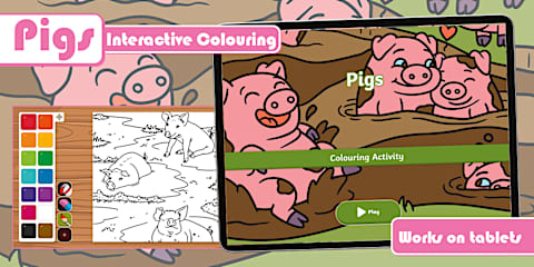 Transfer Mini-Test: Money Interactive