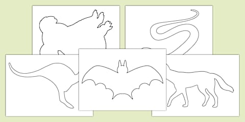 Animal Templates for Children | Primary Resources | Twinkl