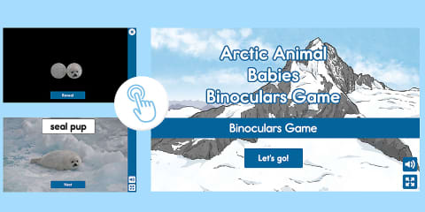 The Girl Who Went to the Arctic: Arctic Animals Ordering Game