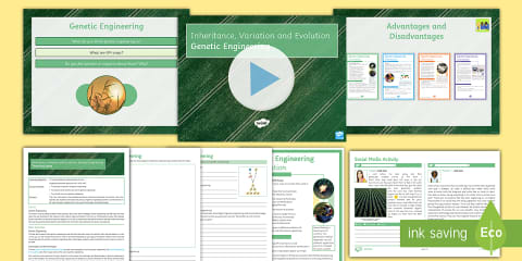 Genetic Engineering Worksheet - Interactive