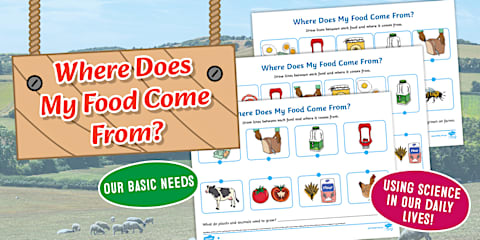 Where Does Your Food Come From? PowerPoint & Google Slides for K-2nd Grade