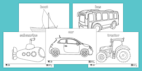 Transport Pattern Tracing Activity