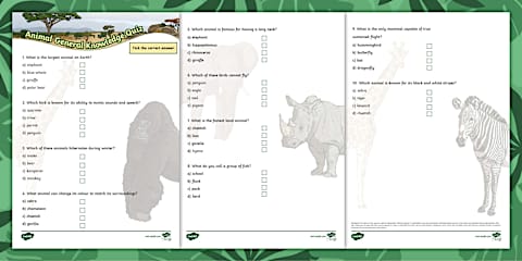 Animal Kingdom Word Search