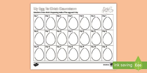 Label the Parts of an Egg Differentiated Activity