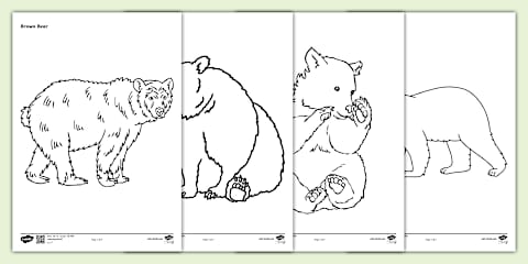 Bear Hunt Colouring Page