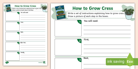 Cress Experiment: What Do Plants Need to Grow?