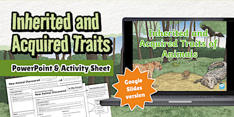 Inherited Traits Worksheet for 3rd-5th Grade