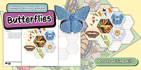 Africa Rhombus Display Shapes