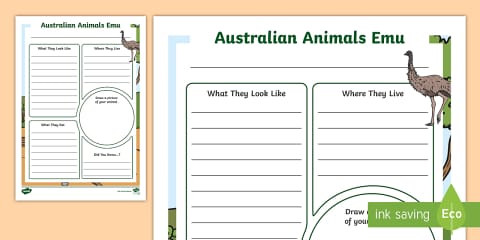 Emu Fact Sheet