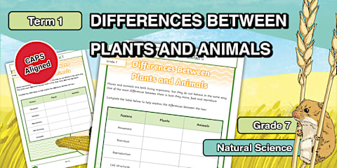 Grade 7 - NS - Life and Living - Revision Booklet (CAPS Aligned)