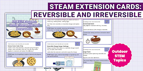 Changing States Reversible Irreversible Changes Worksheet
