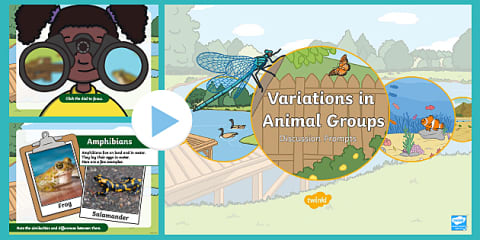 Grouping Animal by Classes Science Game