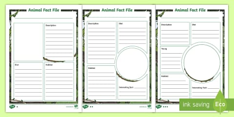 Animal Fact File Worksheets