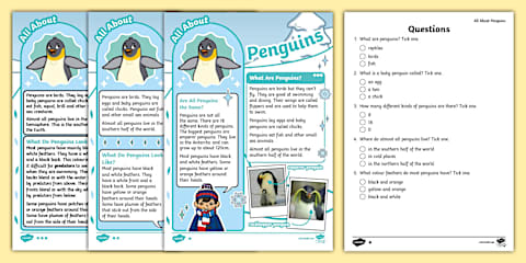 All About Penguins PowerPoint