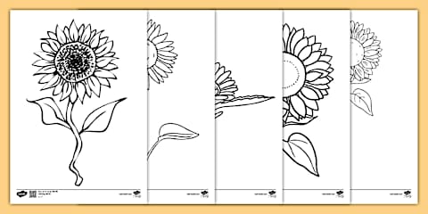 Sunflower-Themed Sunflower Cut-Outs