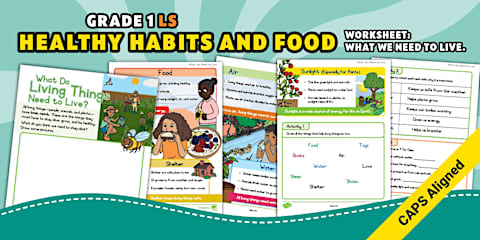 Grade 1 Life Skills - Term 1 - Healthy Habits - Activity Pack (CAPS ...