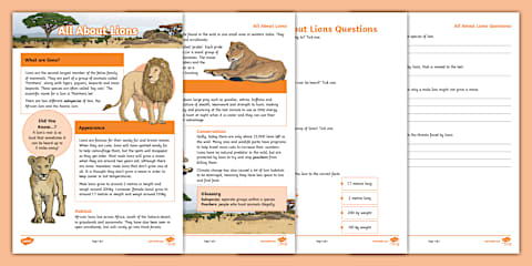 KS1 All About Lions Reading Comprehension Activity
