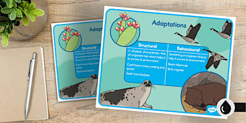 Structural and Behavioural Adaptations PowerPoint