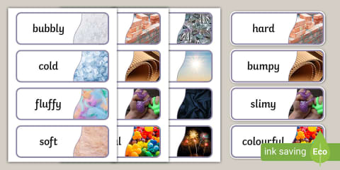 Rough and Smooth Photo Sorting Activity