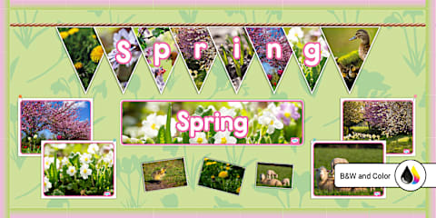 Spring Photo Banner