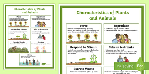 Fifth Grade Plant and Animal Needs Comparison Worksheet