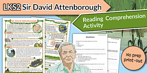 World Environment Day Reading Comprehension Activity for Ages 7-9